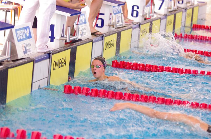 Norges Svømmeforbund - Stevnereportasje